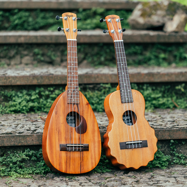 Traditional Wooden Ukulele - Concert & Tenor – Wagas Ukuleles International