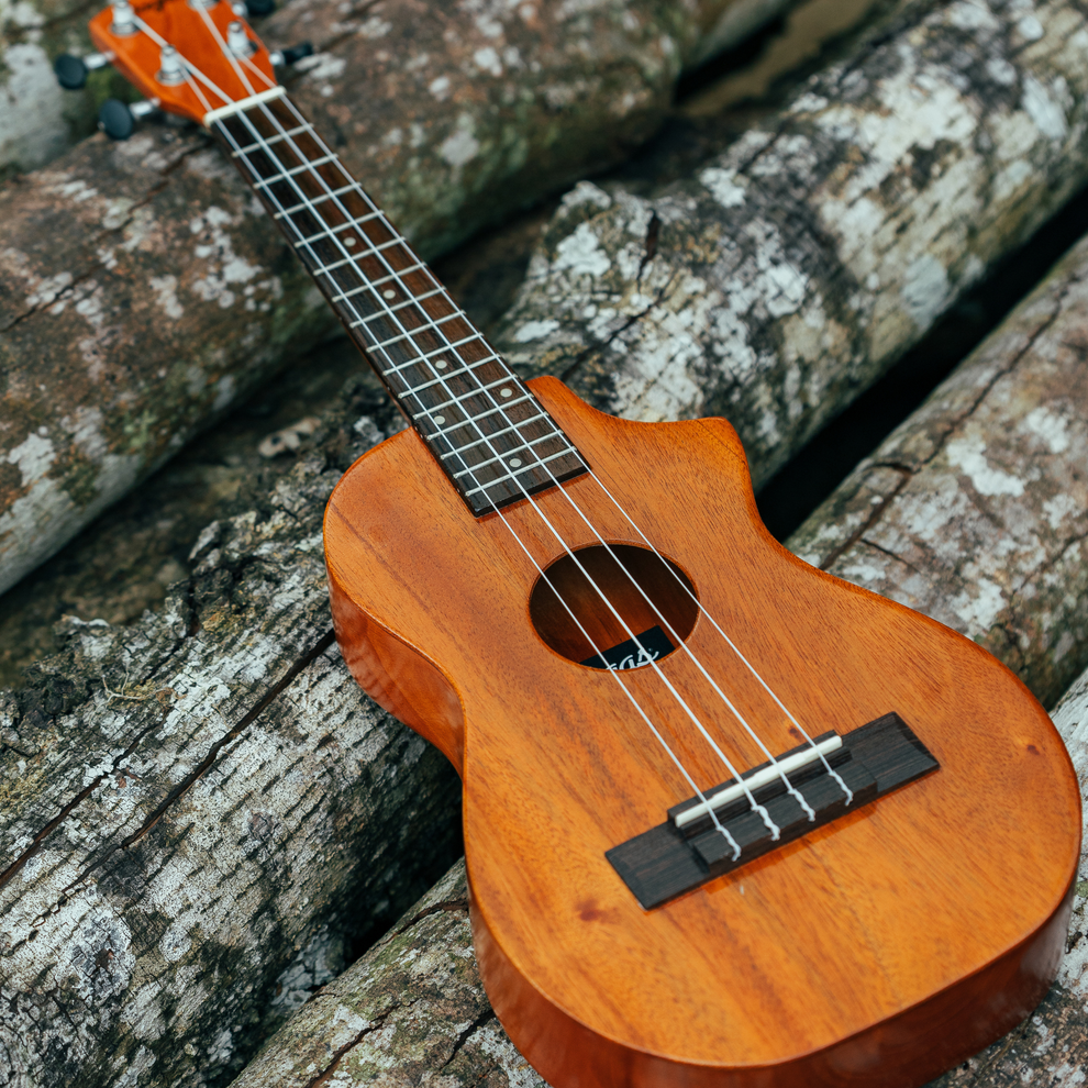 Traditional Wooden Ukulele - Concert & Tenor – Wagas Ukuleles International